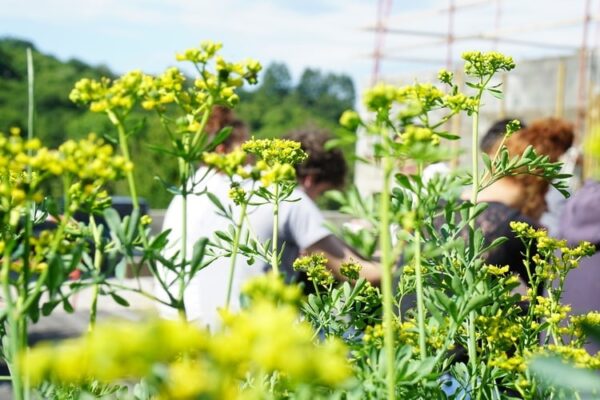 Solibio Accueil - Solibio