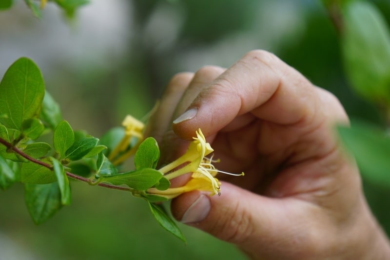 Présentation - Solibio