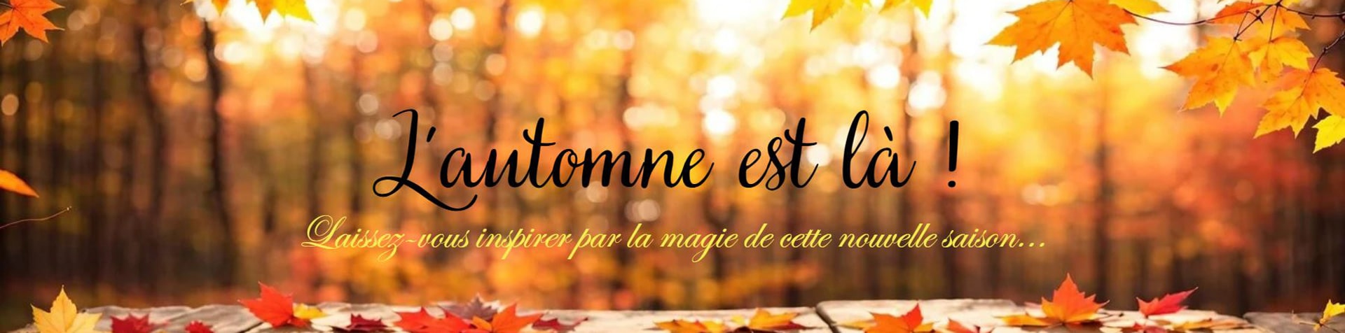 Solibio Accueil - Solibio